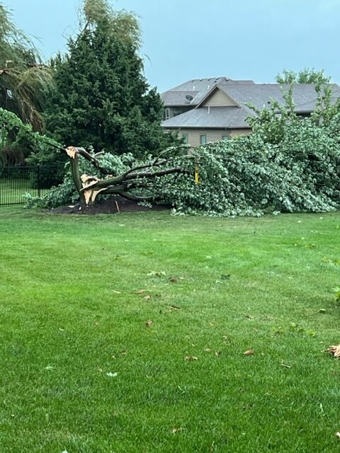 Severe storm with 75 mph wind gusts sweeps through Douglas County ...